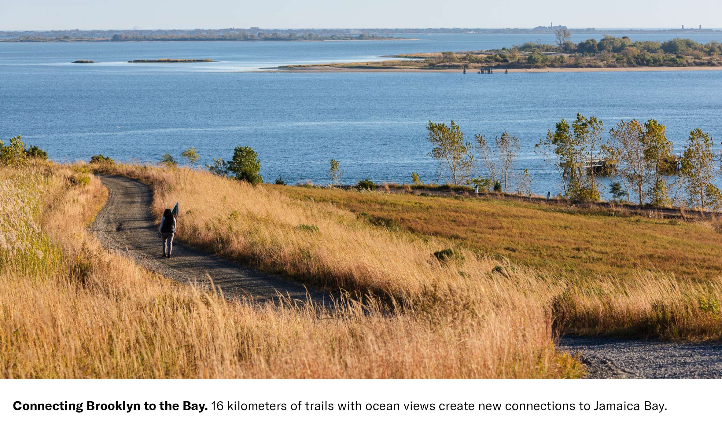 Shirley Chisholm State Park Biennal